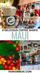 8 Delicious Coffee Shops On Maui (that Everyone Will Love!)