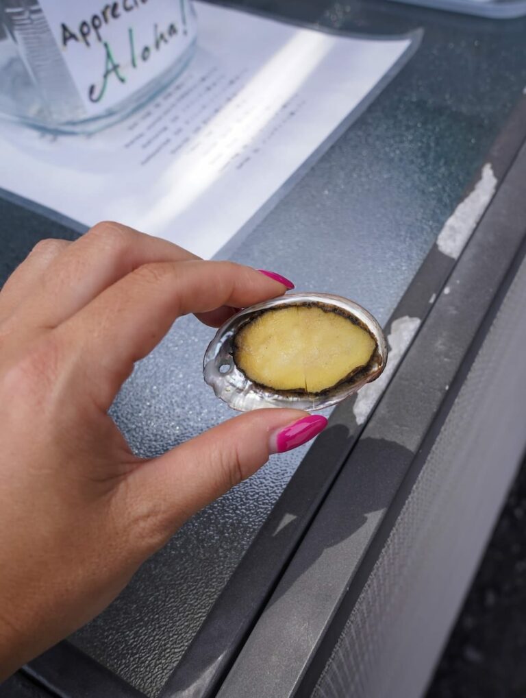 Big Island Abalone: Visiting Hawaii's Most Famous Aquafarm